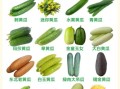 黄瓜有几种_黄瓜品种大全