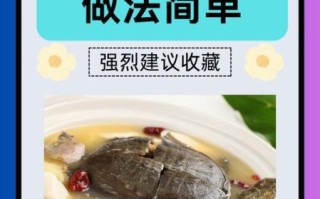 甲鱼怎么杀_甲鱼汤怎么炖好喝