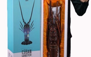 澳洲花龙虾多少钱一斤_澳洲花龙虾价格行情