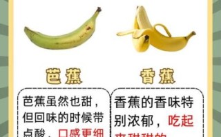 芭蕉图片大全_如何识别芭蕉与香蕉