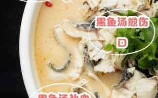 鲫鱼汤对伤口愈合有帮助吗_鲫鱼汤促进术后恢复多久见效