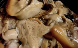 河蚌怎么清洗干净内脏_河蚌内脏清理步骤