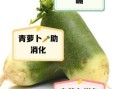 青萝卜水的功效与作用_青萝卜水能减肥吗