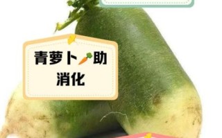 青萝卜水的功效与作用_青萝卜水能减肥吗