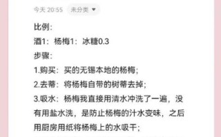 家常杨梅酒怎么做_杨梅酒要泡多久才能喝