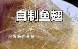 鱼翅怎么泡发_鱼翅最简单的家常做法