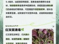 苋菜红致癌吗_安全剂量是多少