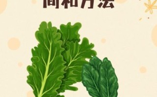 甘蓝菜什么时候种_甘蓝菜怎么种