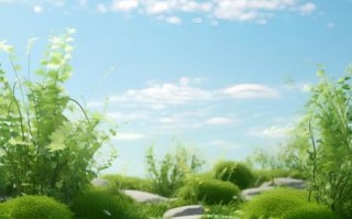 绿色背景图怎么搭配_绿色背景图适合什么场景