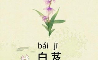 白芨的功效与作用有哪些_白芨主治什么病