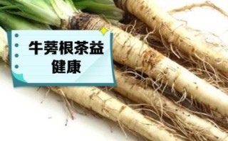 牛蒡什么人不能吃_孕妇能吃牛蒡吗