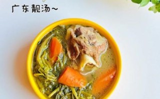 广东例汤怎么煲_广东老火靓汤做法大全