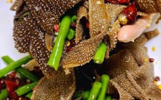 竹毛肚是什么_竹毛肚怎么做好吃