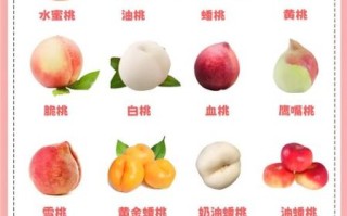 桃子是酸性还是碱性_桃子吃多了会胃酸吗