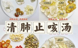 润肺汤的做法_润肺汤适合哪些人喝