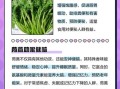 茼蒿的营养价值_茼蒿的功效与作用有哪些