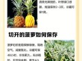 菠萝笔记网址打不开怎么办_如何正确访问菠萝笔记