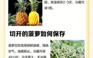 菠萝笔记网址打不开怎么办_如何正确访问菠萝笔记