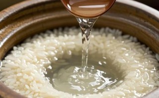 孝感米酒怎么做_正宗孝感米酒做法