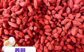 枸杞一天吃多少粒合适_枸杞最佳食用方法