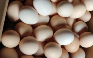 鸡蛋图片大全大图_鸡蛋高清大图怎么拍