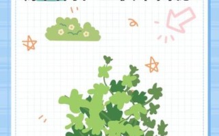 香菜为什么叫断阳草_香菜断阳草的来历