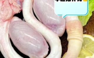 牛鞭是什么东西_牛鞭长在牛哪个部位