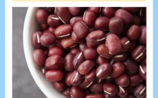 红豆好还是赤小豆好_哪个祛湿更给力