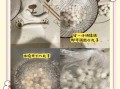 糯米粉怎么做汤圆_汤圆不破皮技巧