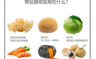 胃黏膜修复吃什么食物_养胃食物有哪些