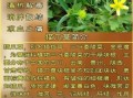 猫爪草的功效与作用主要治什么病_猫爪草能治哪些常见病