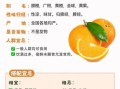 橙子怎么挑选_橙子的营养价值有哪些