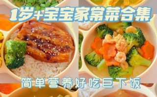 适合一岁宝宝吃什么辅食_宝宝辅食做法大全