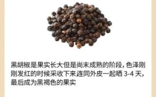 胡椒图片_胡椒种类怎么区分