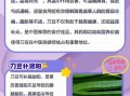 刀豆中毒症状_刀豆副作用有哪些