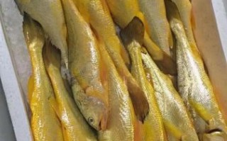 黄鱼多少钱一斤_黄花鱼价格行情