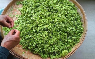 榆钱饼怎么做_榆钱饼的营养价值