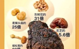 桦树茸的功效与作用_桦树茸怎么吃