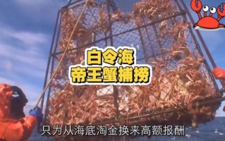 阿拉斯加帝王蟹捕蟹人工资_危险吗