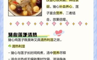 猪心莲子汤的功效与作用_适合什么人喝