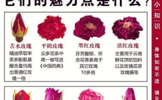食用玫瑰花有哪些功效_如何挑选优质食用玫瑰