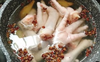 怎么炖鸡爪好吃又简单_鸡爪怎么炖才入味