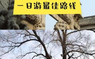 单县有哪些旅游景点_单县一日游路线推荐