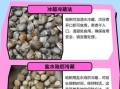 蛤蜊怎么养到第二天_蛤蜊过夜保鲜技巧