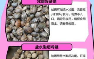 蛤蜊怎么养到第二天_蛤蜊过夜保鲜技巧