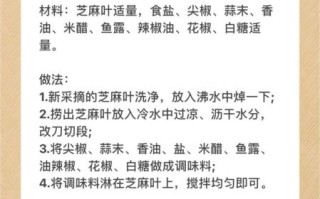 芝麻菜的功效与作用_芝麻菜怎么吃最营养