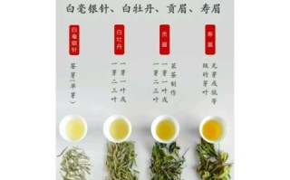 白茶属于什么茶_白茶是红茶还是绿茶
