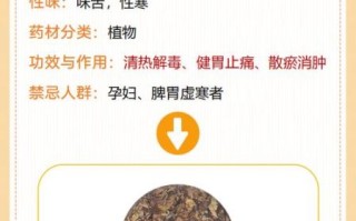 金不换是什么_金不换的功效与作用
