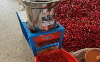 辣椒剁碎机哪款好用_家用小型剁碎机怎么选