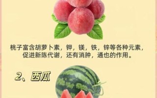 夏天吃什么水果好_夏季饮食养生方法